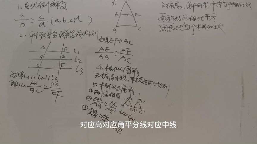 9年级图形的相似,成比例线段,三角形相似,直角三角形中位线