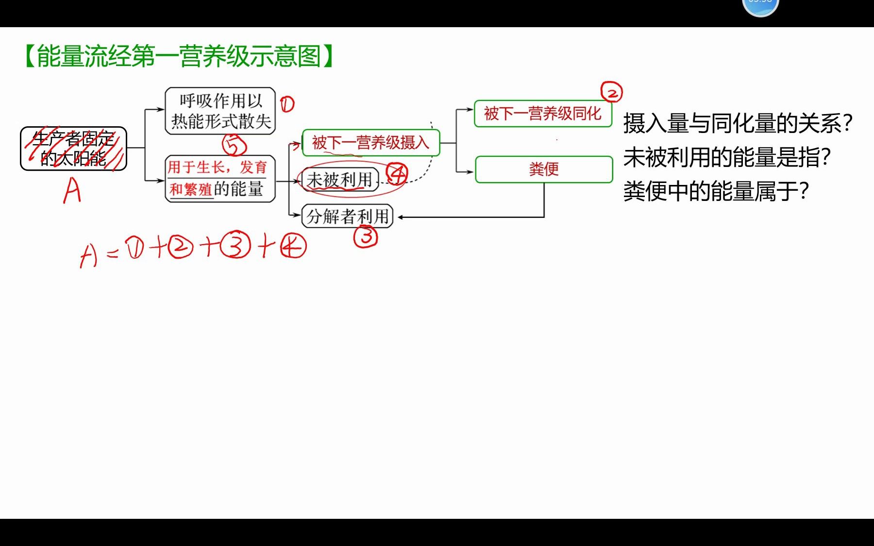 【高中生物】生态系统中的能量流动