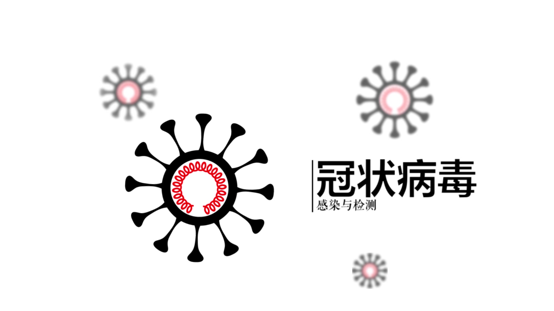 【冠状病毒&核酸检测】冠状病毒如何入侵?核酸检测如何检测?