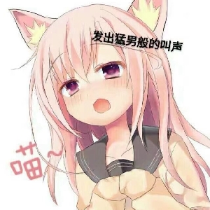 请务必路过的收藏夹 