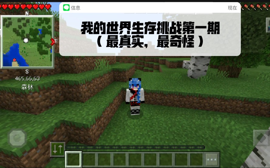 超长视频,看完的人 牛 我的世界生存挑战(最长最无聊)