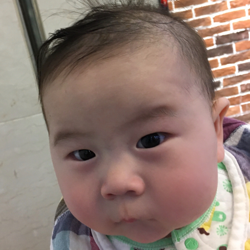 大肉包et小肉包 