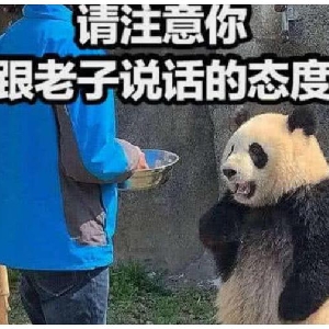 我是咕咕鸽子 