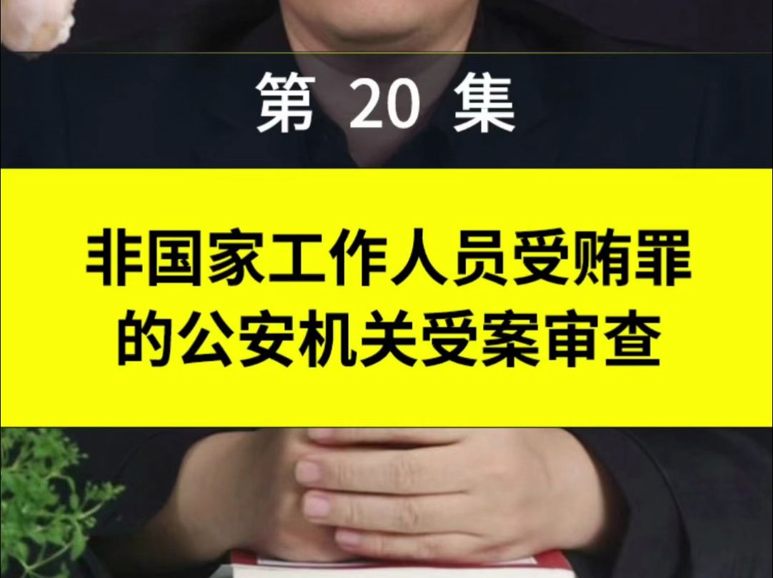 第20集非国家工作人员受贿罪的公安机关受案审查