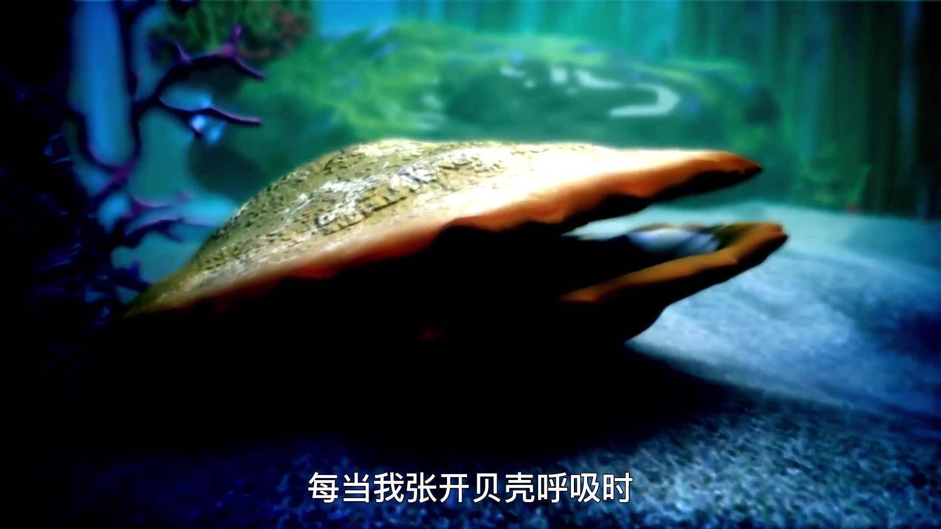 你知道珍珠是如何形成的吗,珍珠蚌备悲惨的一生