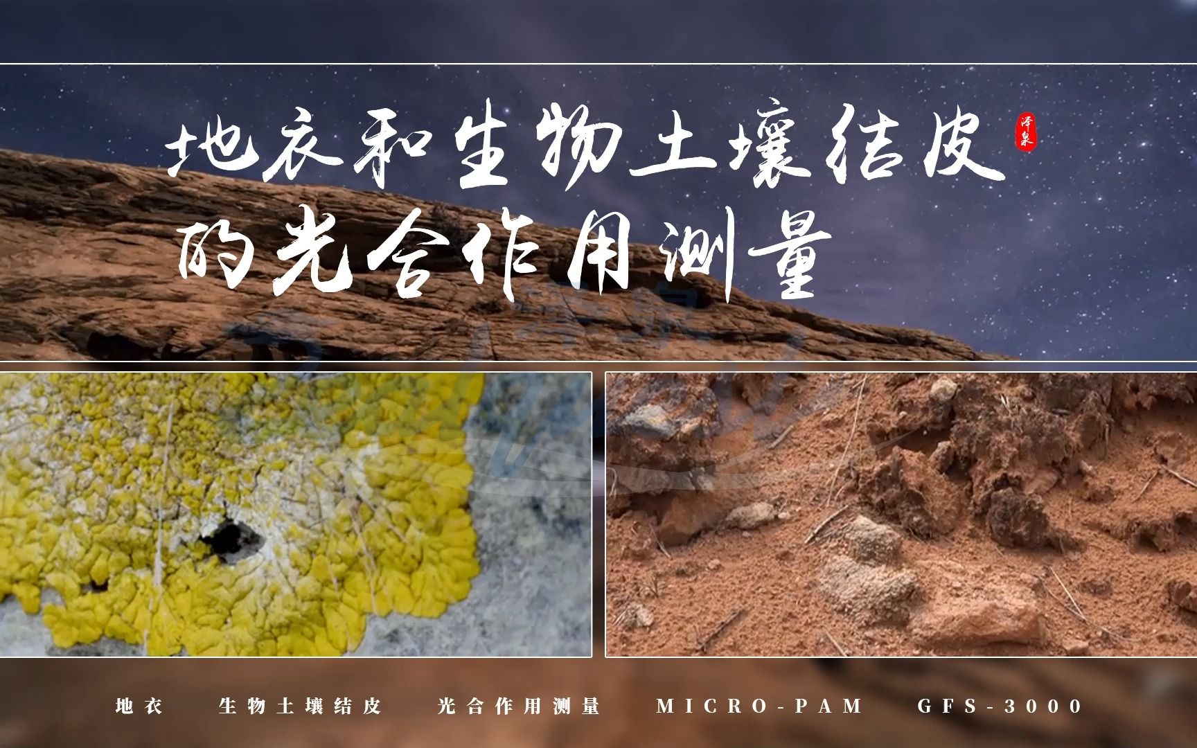 地衣和生物土壤结皮的光合作用该怎么测量?