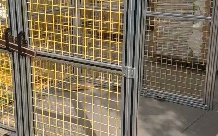 上海善昶加工定制铝型材防护栏 网格隔离网 机器设备隔离护栏