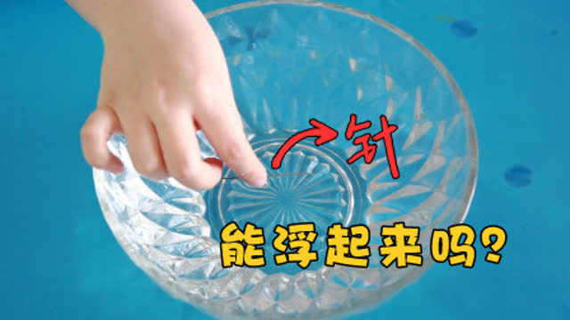 水表面张力有多大?把一根针放入水中测试,有趣的现象发生了!