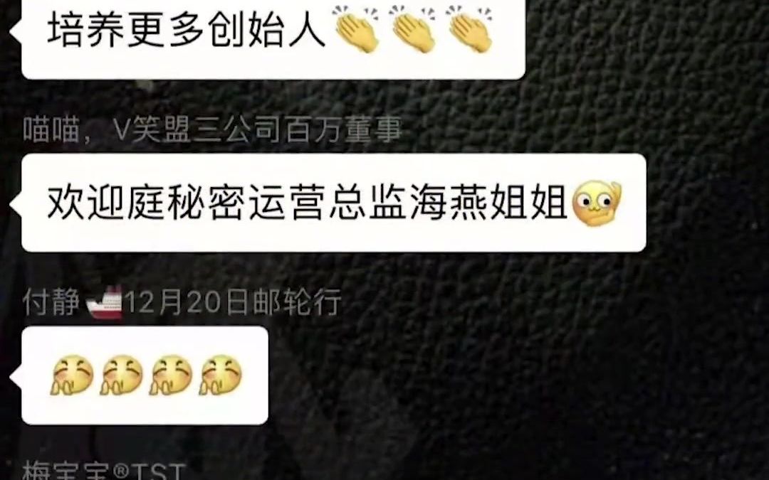 代理商揭秘张庭公司运营模式:连续3个月业绩10万可成立公司,产品都是...