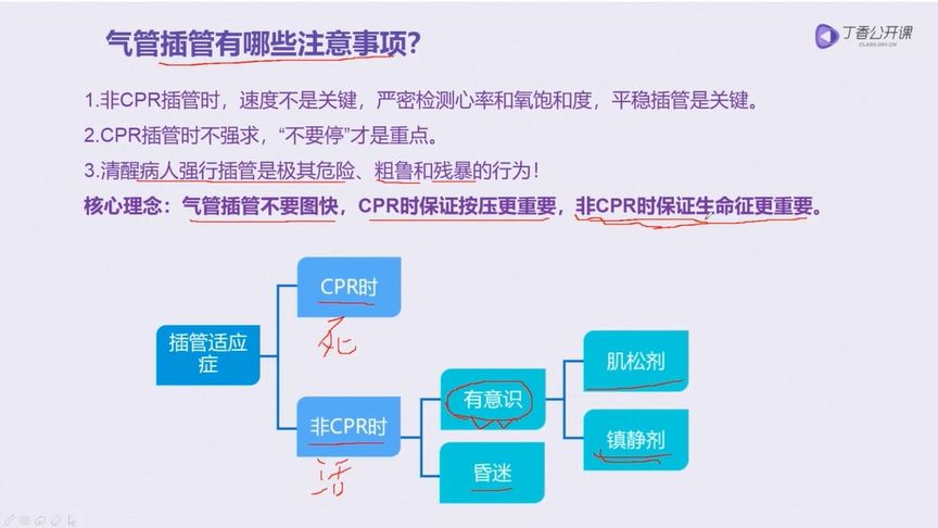 医学生:气管插管,复苏药物,心律失常处理流程,急诊心电图阅读