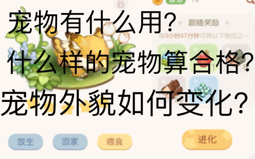 【奥比岛宠物】岛建36级的肩部玩家对宠物的一些见解_攻略