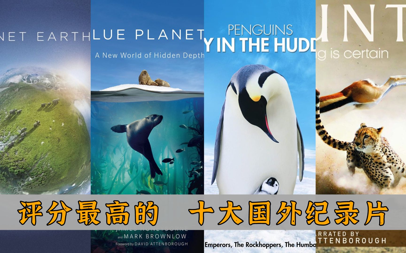 评分最高的十大国外纪录片:每一部都给你,视觉与灵魂的双重震撼