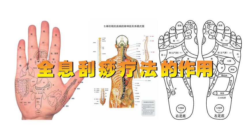 03刮痧疗法的作用