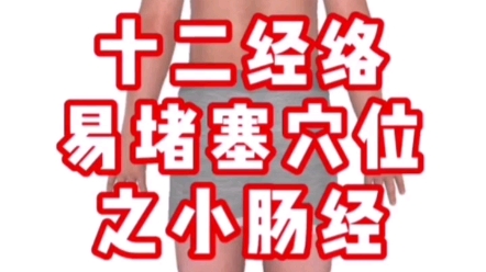 十二经络,易堵塞穴位,之小肠经