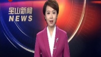 视频|公共卫生工作 将纳入上海各区和部门领导干部绩效考核