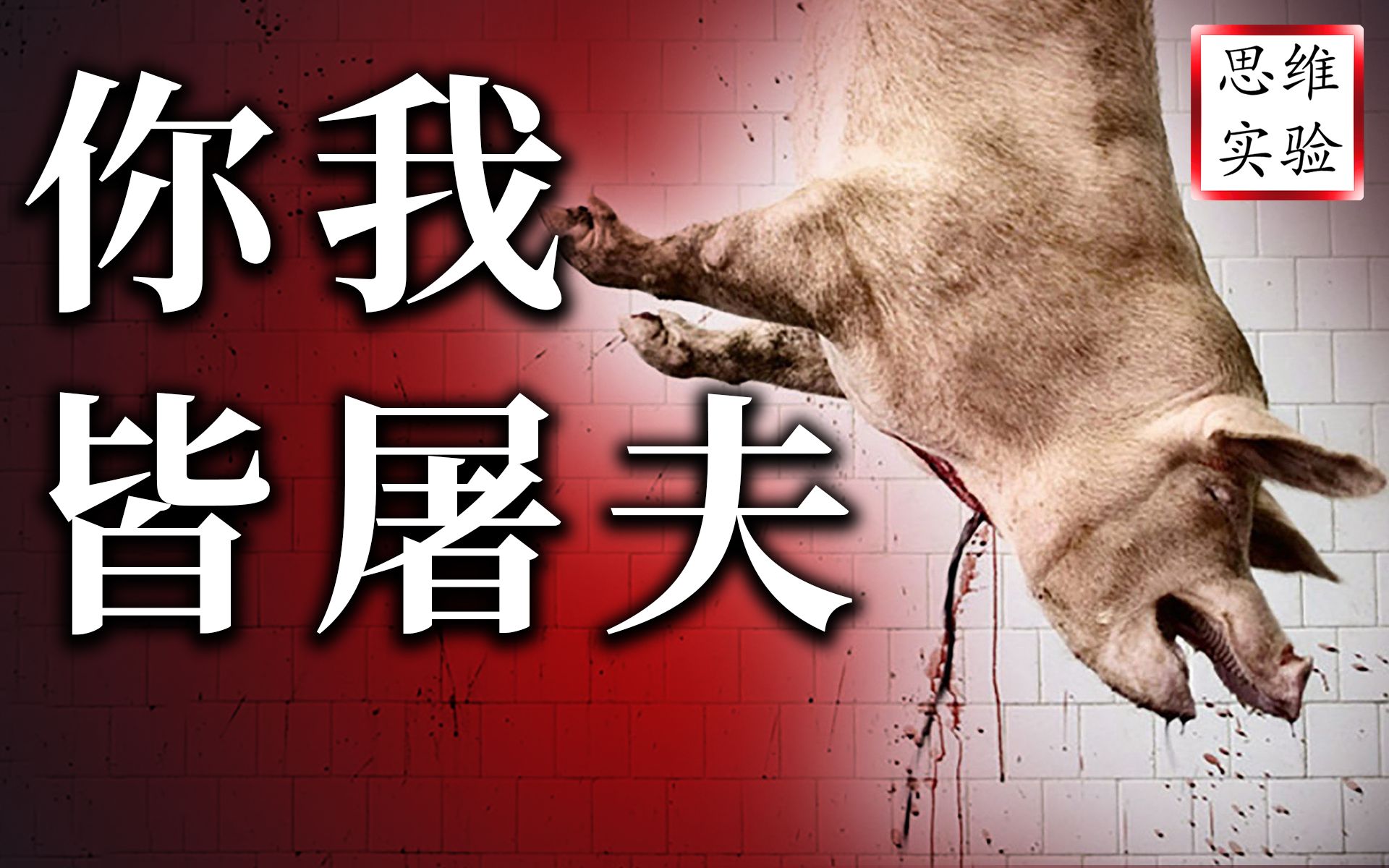 你一生要吃掉多少只动物?【思维实验室】38期