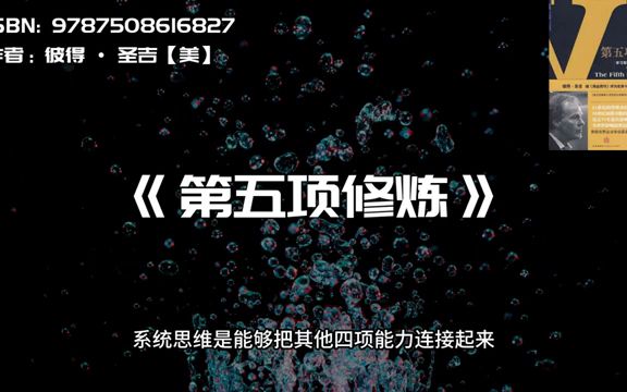 《第五项修炼》学习型组织的艺术与实践