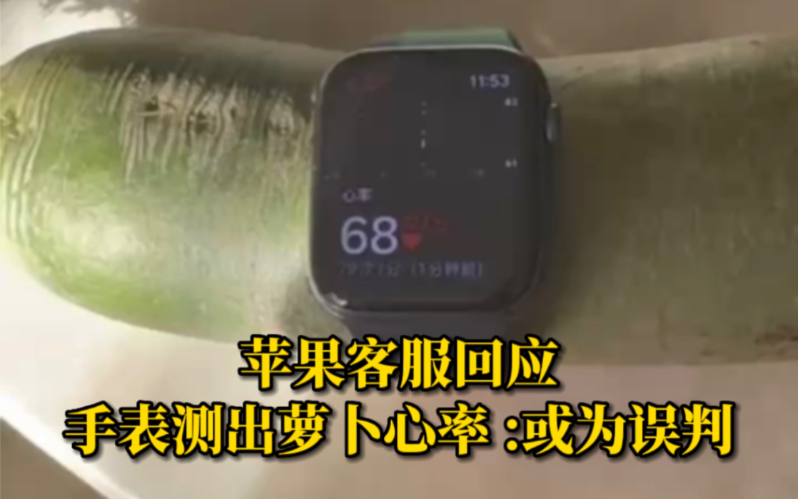 苹果客服回应手表测出萝卜心率 :或为误判,不影响人体检测准确性
