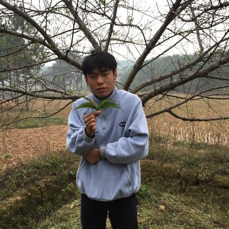 小文农村纪录 