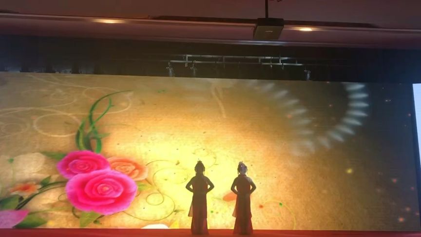 舞蹈是一种表演艺术,使用身体来完成各种优雅或高难度的动作