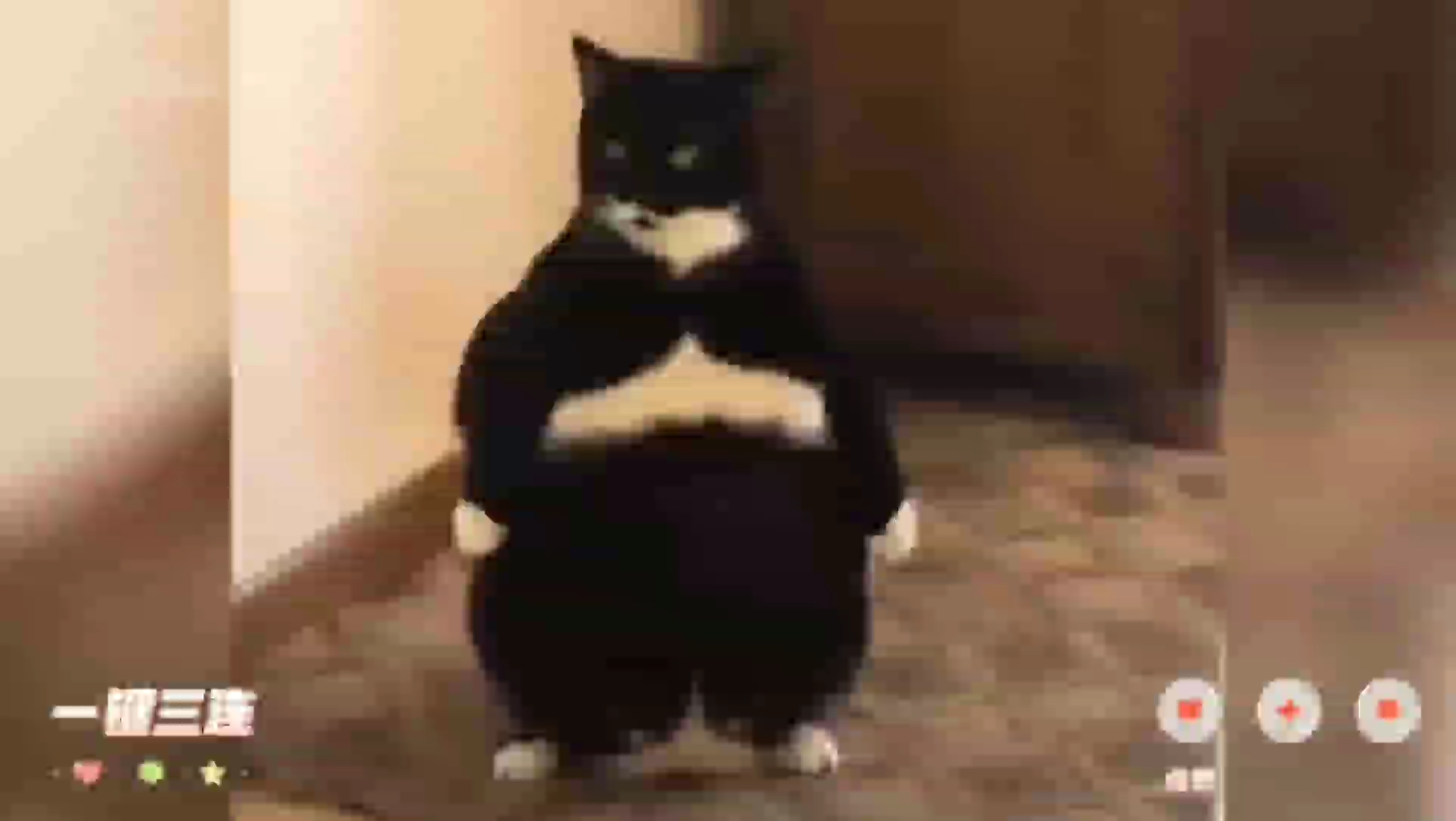 啦啦啦啦,啦啦。,?啦啦啦,