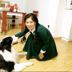 轻质隔墙板厂 
