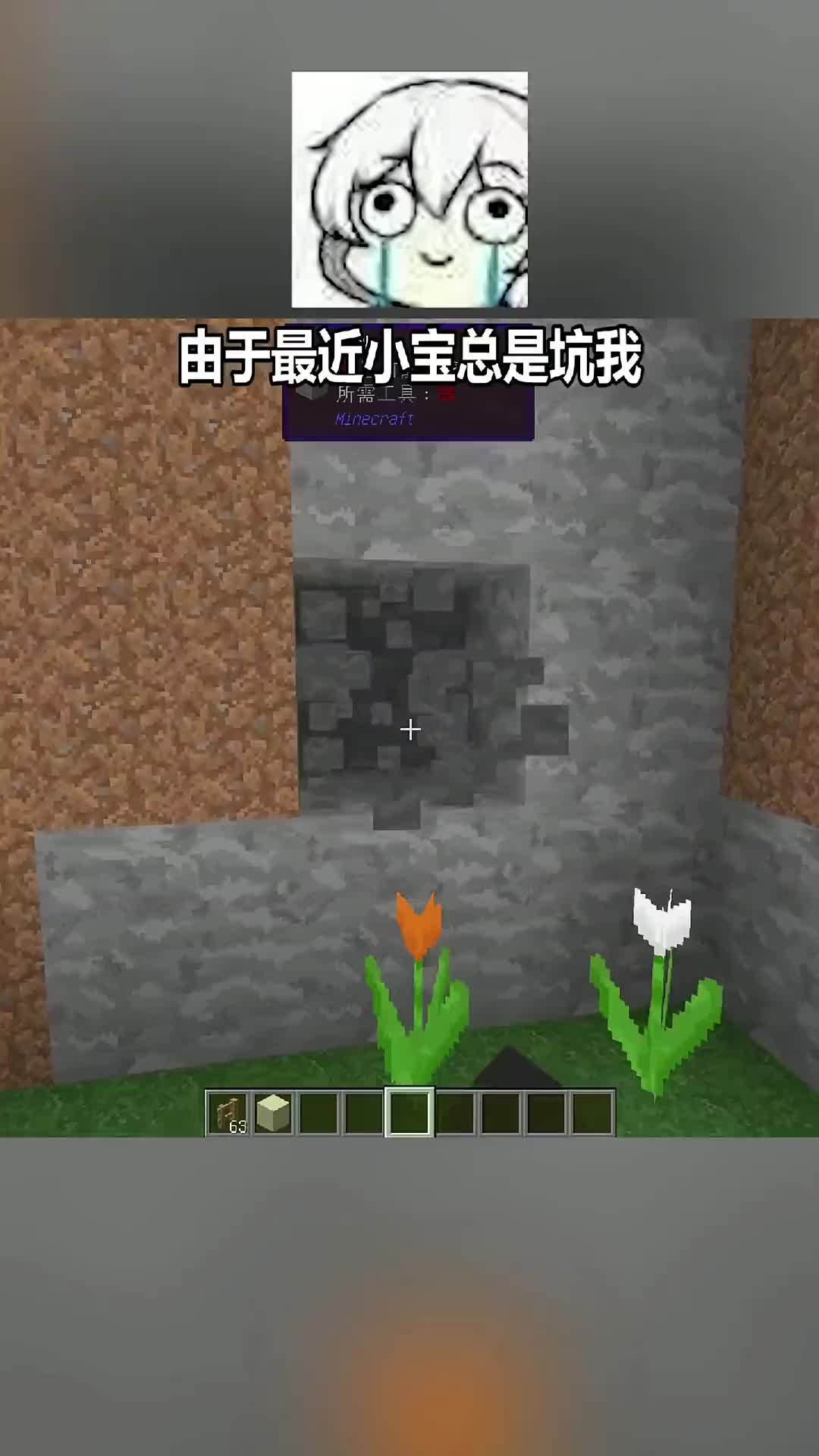 我的世界小陷阱你们学会了吗?