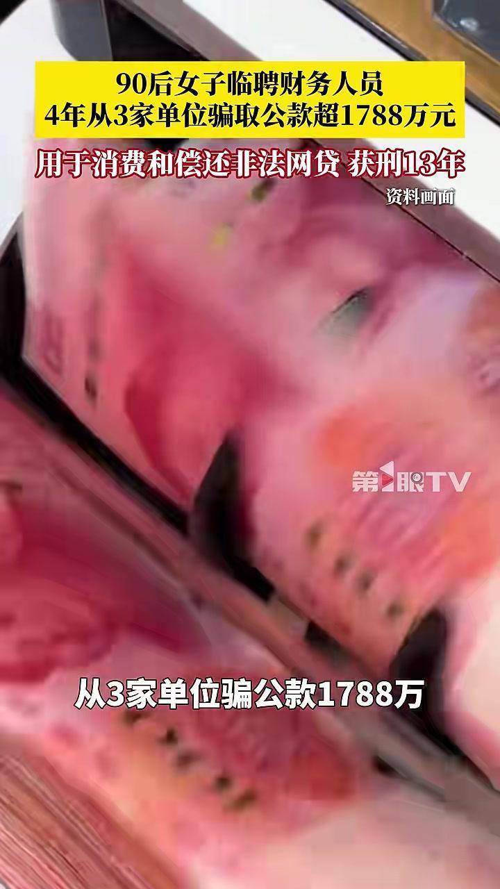 ...用于消费和偿还非法网贷,被判处有期徒刑13年,并处罚金100万元,依...