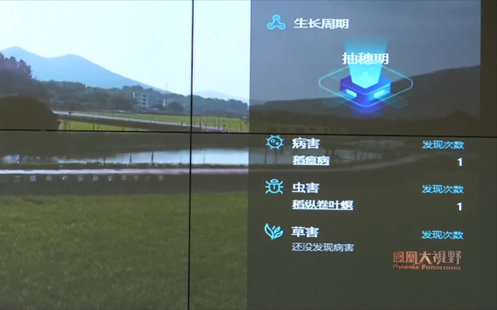 农业+5G=?操纵无人机的“新农民”