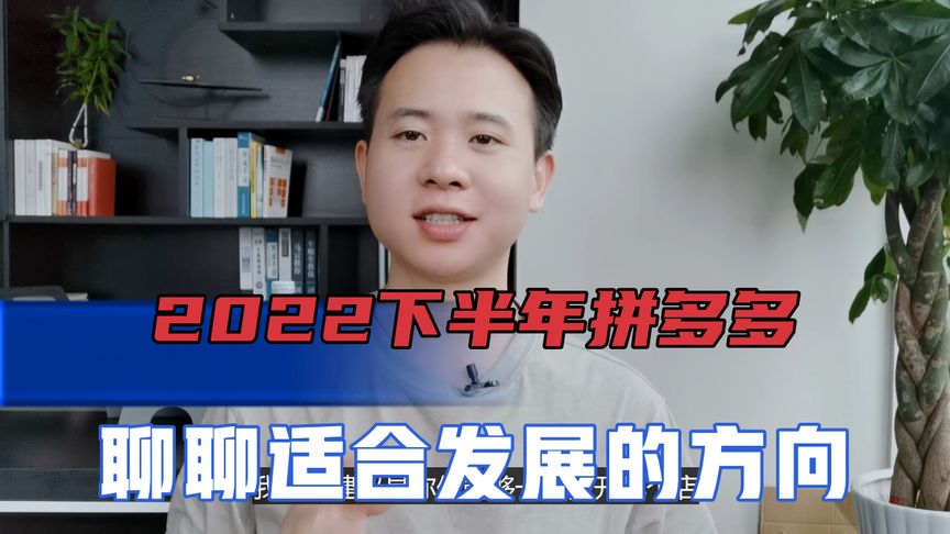 2022下半年做拼多多,聊聊适合普通人发展的方向,能让你赚到钱