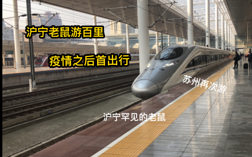 沪宁城际铁路上的老鼠,G1463次前往苏州一日游。超级舒服的CRH380...