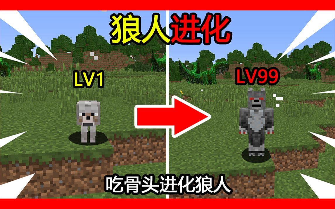 我的世界:狼人进化!每吃10根骨头进化一次!最后进化成狼人!_我的世界