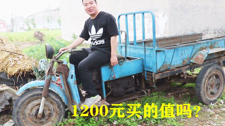 农村小伙花1200元买辆二手旧三轮车,媳妇直呼这车买的太不值当?