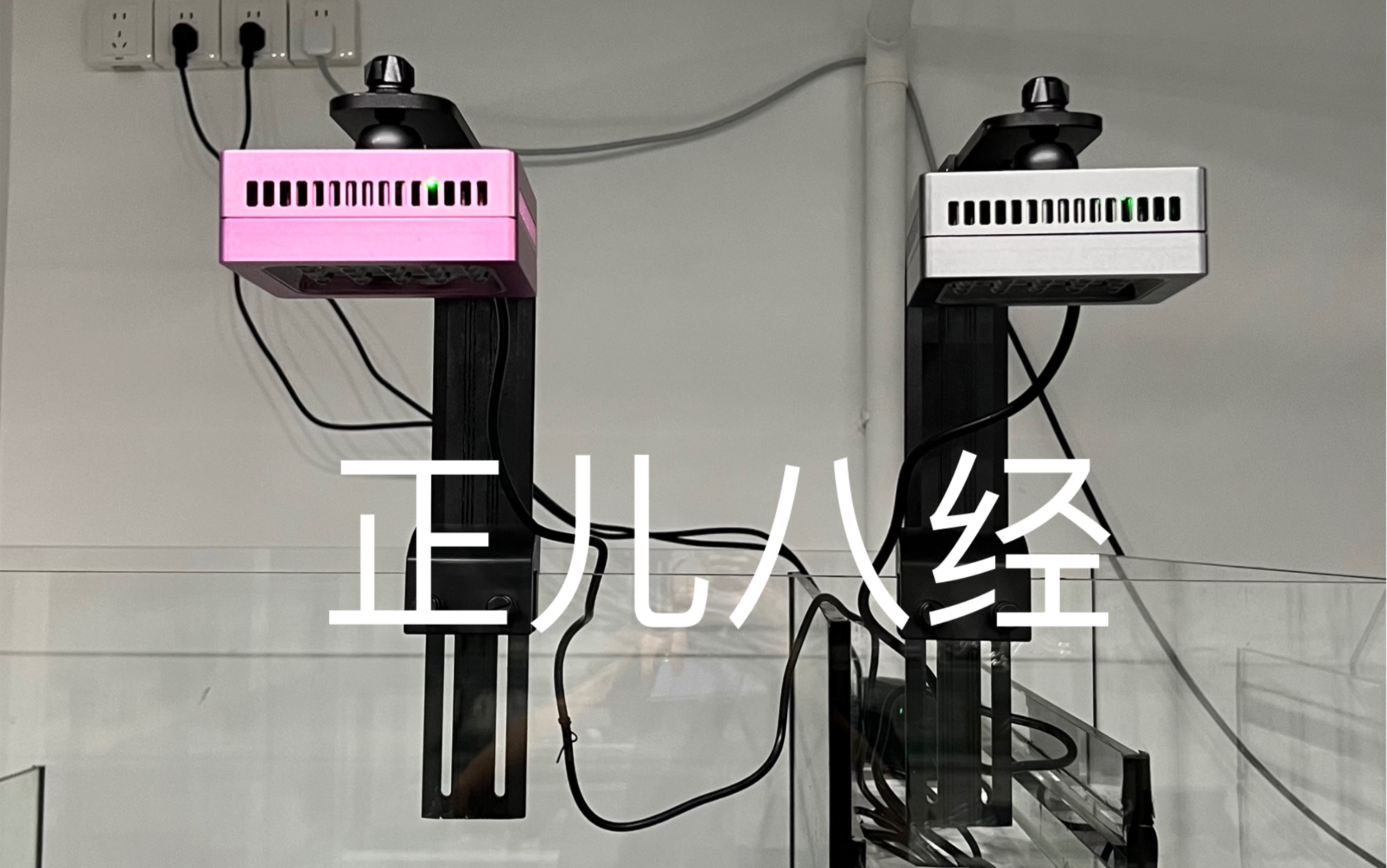 花里胡哨的珊瑚灯哈哈