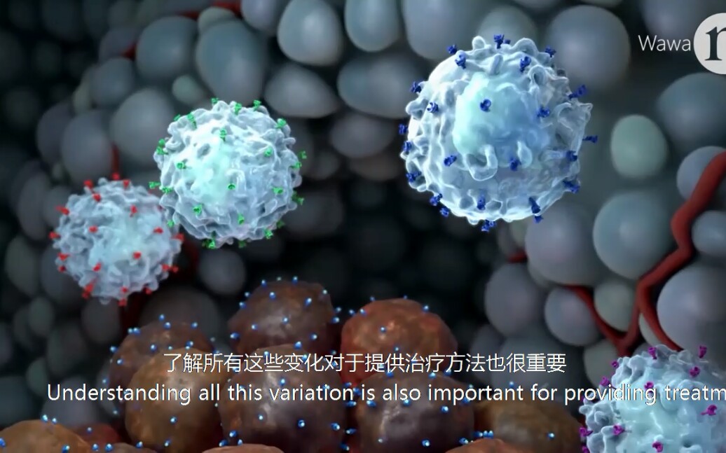 解码癌症免疫学-猎杀隐藏肿瘤-中英双语【Wawa翻译】