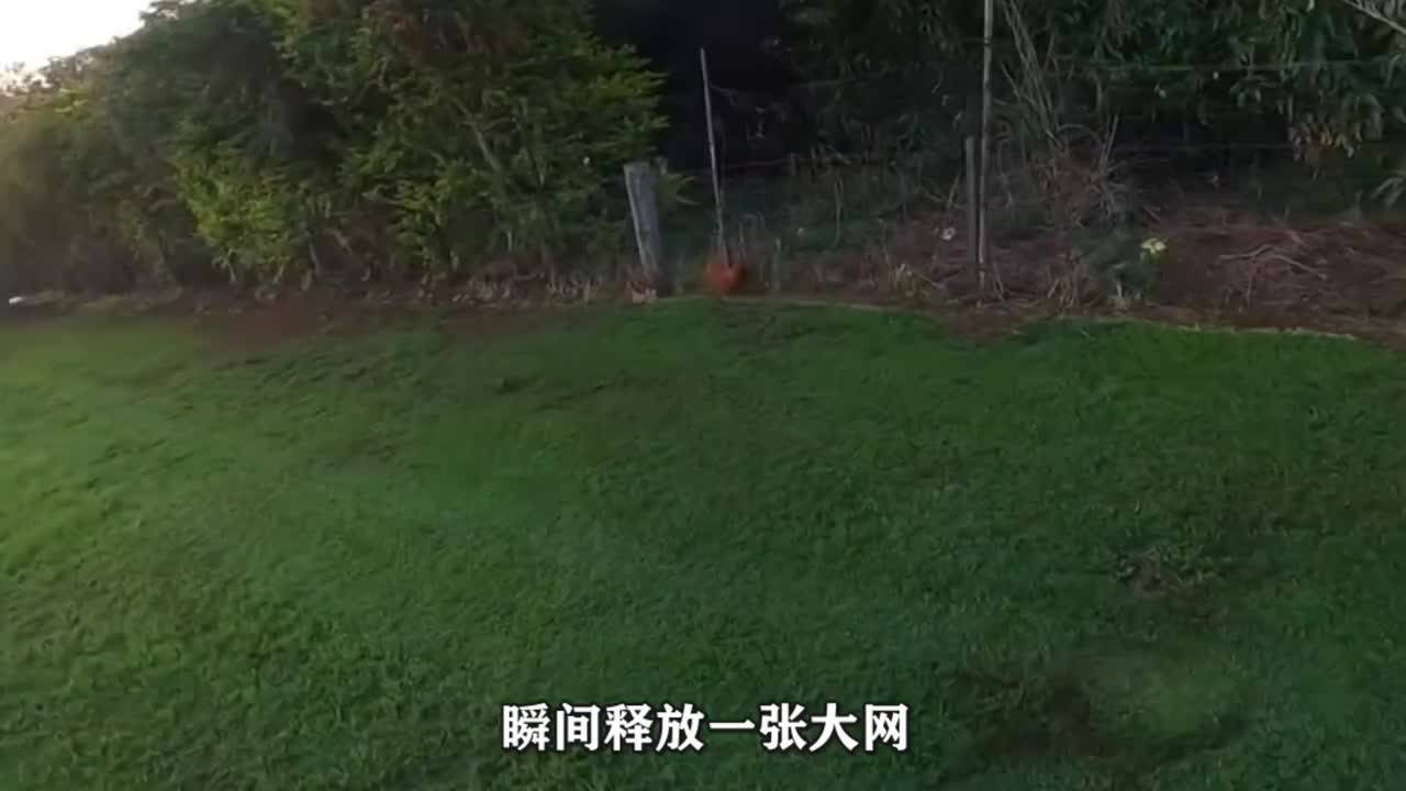 不可思议的“网枪”,瞬间释放一张大网,让歹徒失去行动能力 #网枪 #...