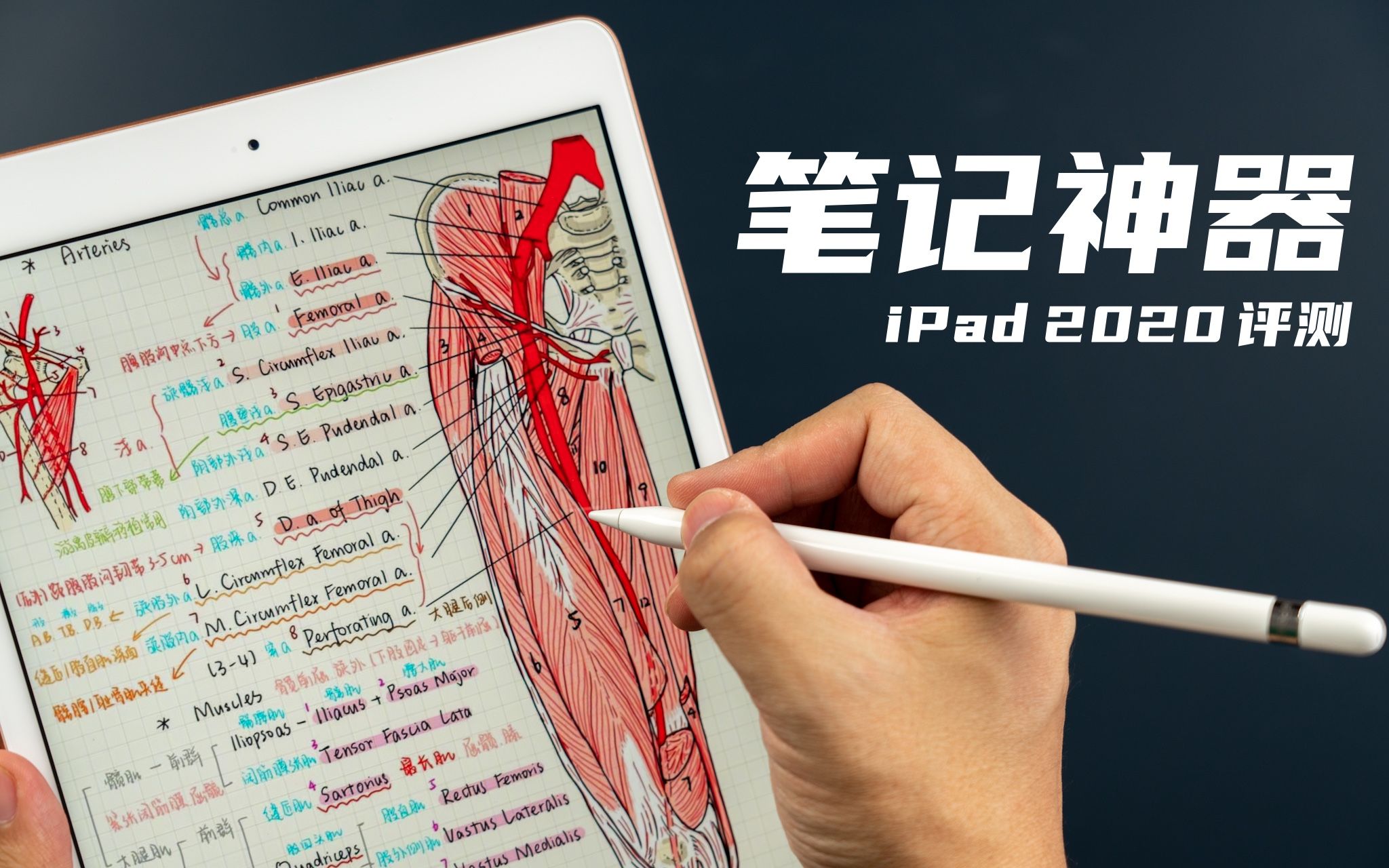 【小泽】iPad 2020评测:学生党的笔记神器