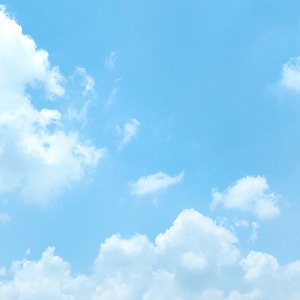繁华尽头Y 