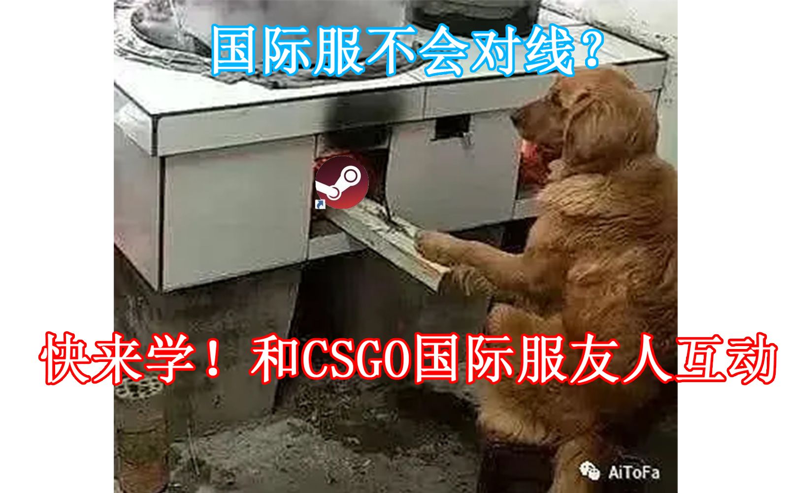 蒸汽平台狗都不玩!国际服交流对线教学,CSGO国际服英语术语教学...
