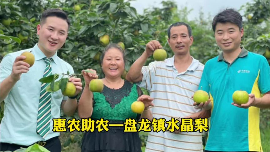 夏日炎炎,有梨更甜[嘿哈]荣昌盘龙镇水晶梨皮薄多汁,清甜无渣