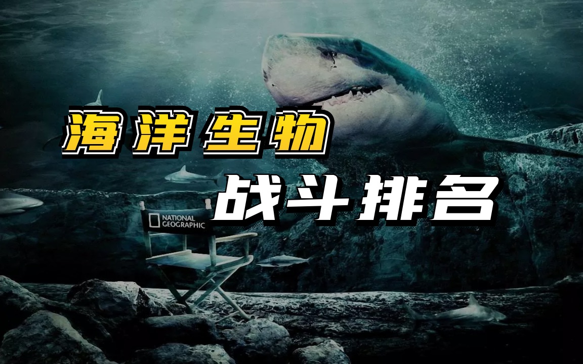 海洋生物战斗力排名,一个比一个猛