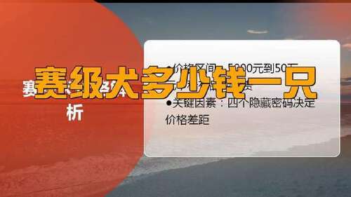 揭秘赛级犬价格内幕!万元起步,贵的竟要几十万?
