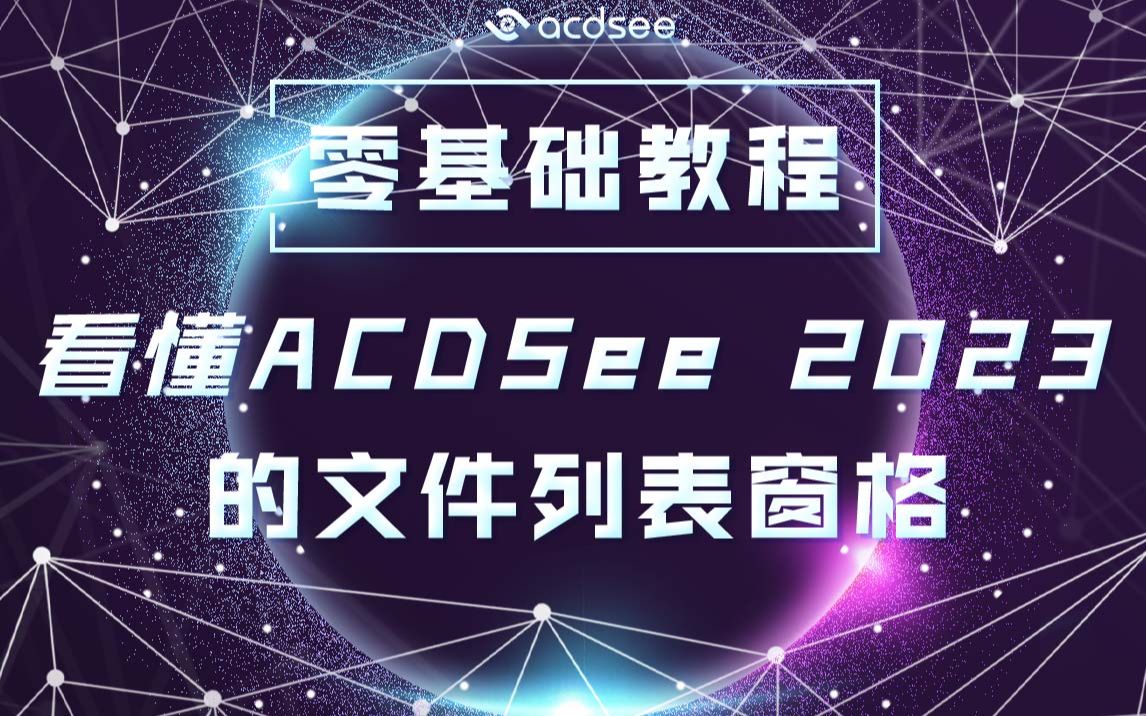 【零基础教程】-看懂ACDSee 2023 的文件列表窗格