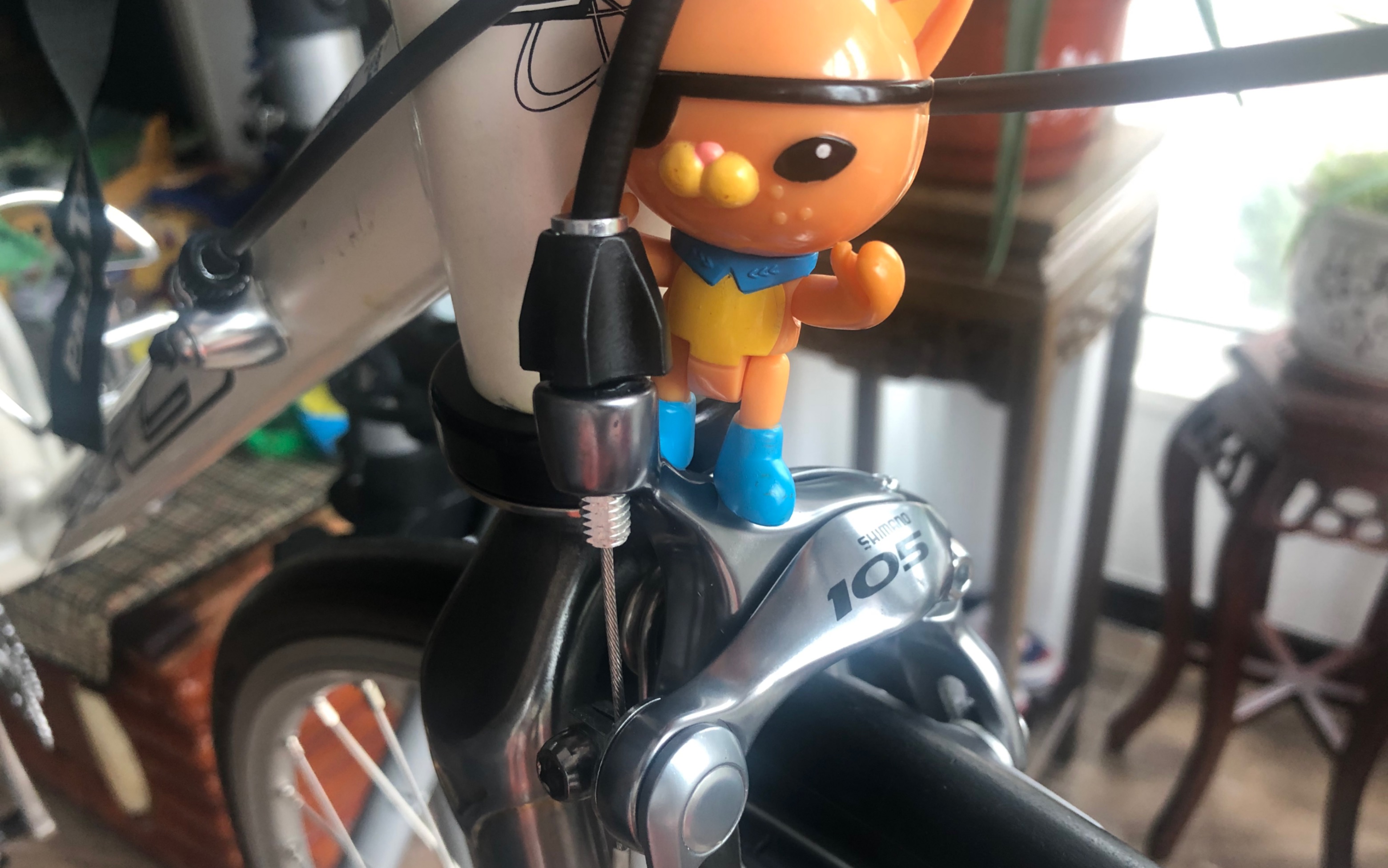 谁说自行车一定要很贵才好骑?看车友的精致装车 | 钢架公路全diy(上)