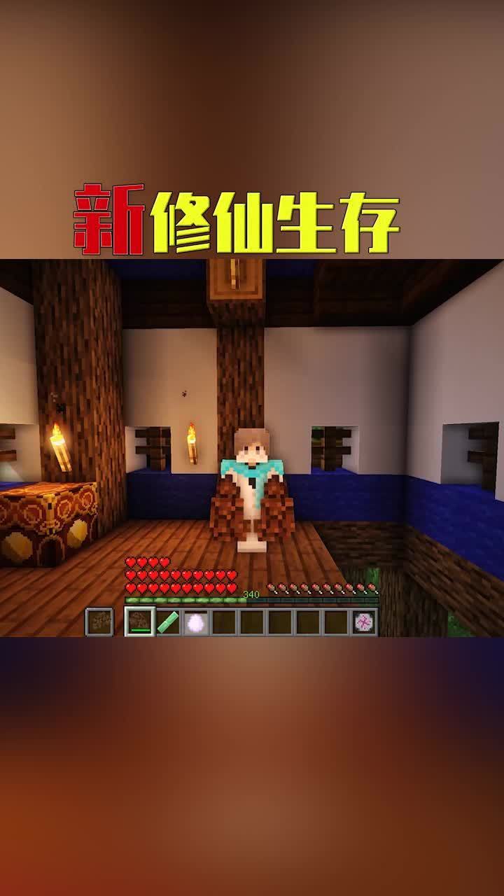 我的世界修仙生存:我又来了!