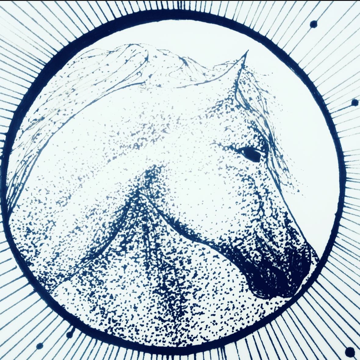 兔骑马 