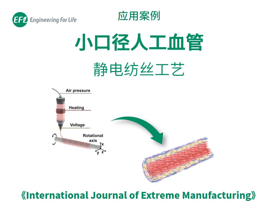 生物3D打印小口径血管