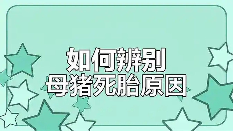 母猪死胎原因大揭秘,如何判断并应对