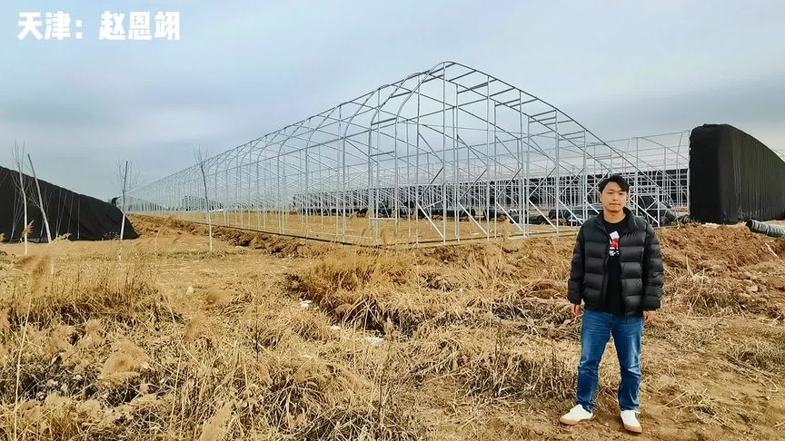 全钢架日光温室暖棚,专业建造各类型种植大棚 养殖大棚 玻璃温室