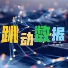 跳动数据 